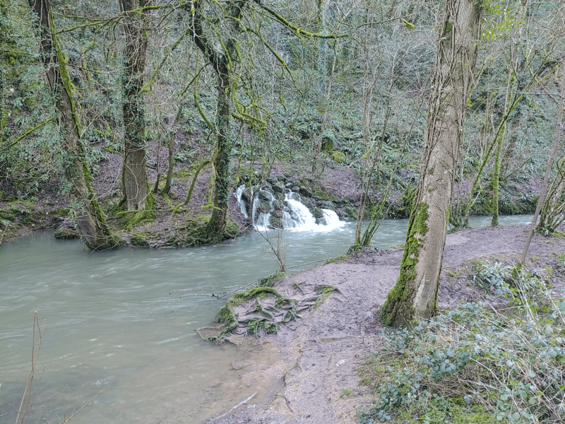 The River Mells, Mells Estate - Frome and District Angling Association