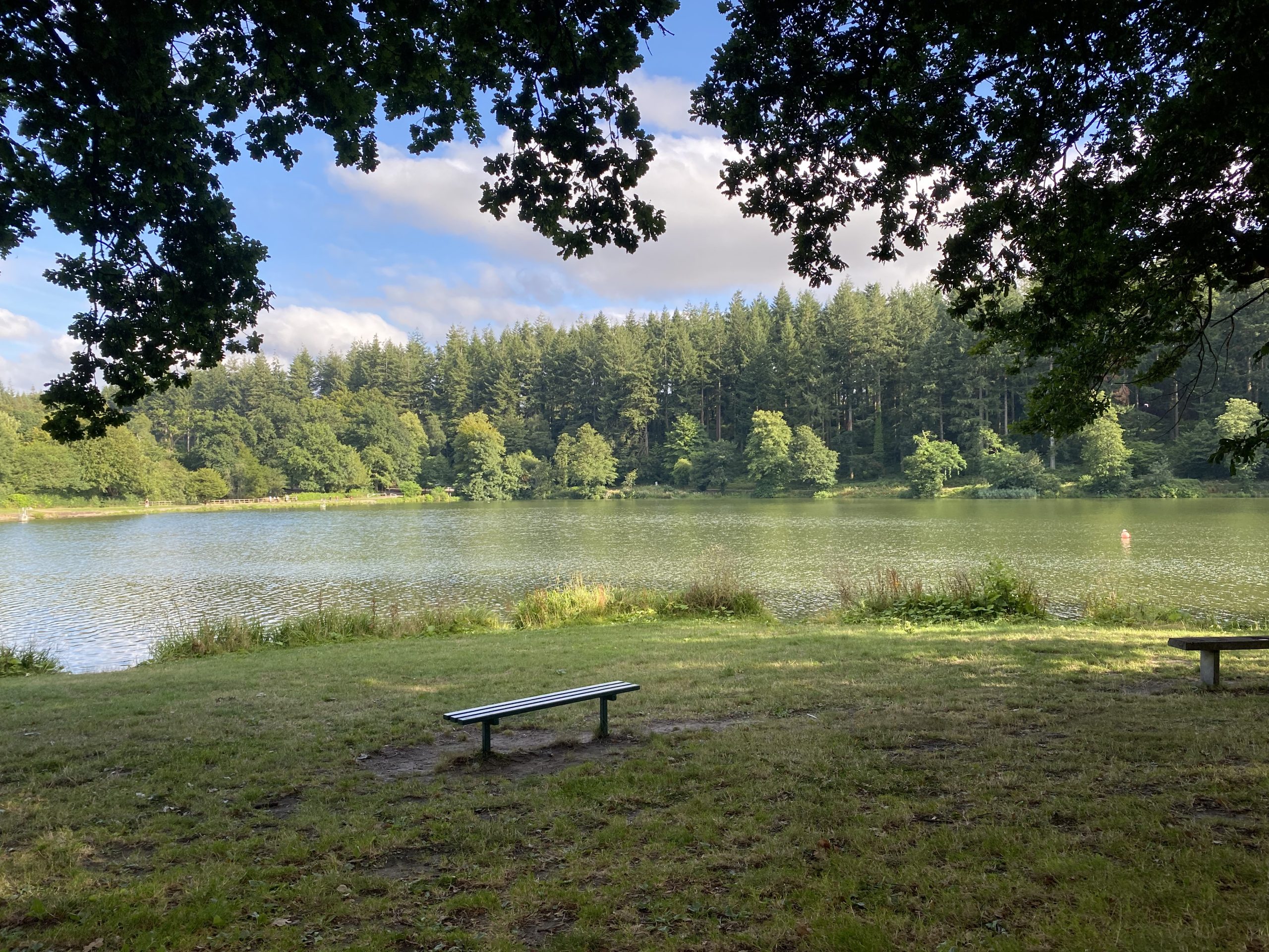 Shearwater Lake - Frome and District Angling Association