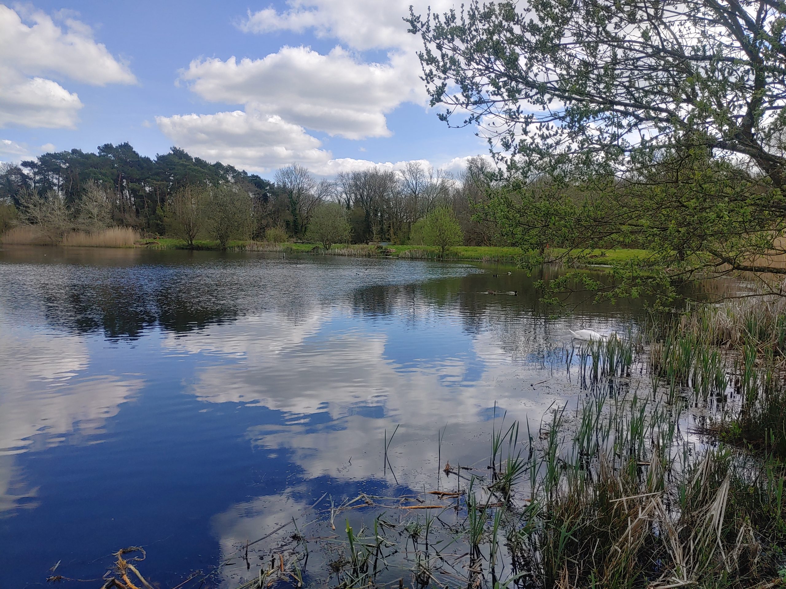 Broad Oak Farm Lake, Clutton - Frome and District Angling Association