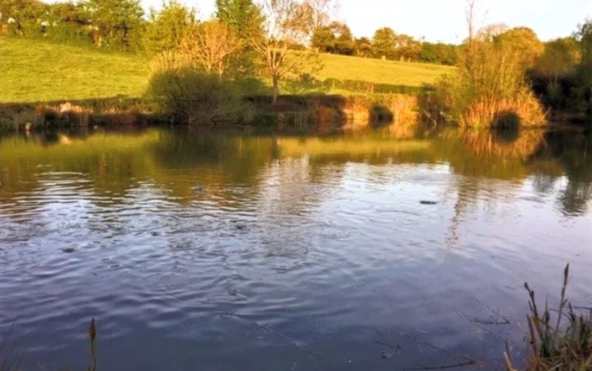 Higher Farm Coarse Fishery - Frome and District Angling Association
